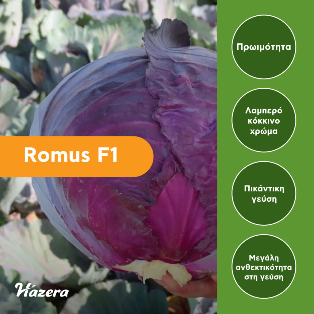 Romus F1 - Greece