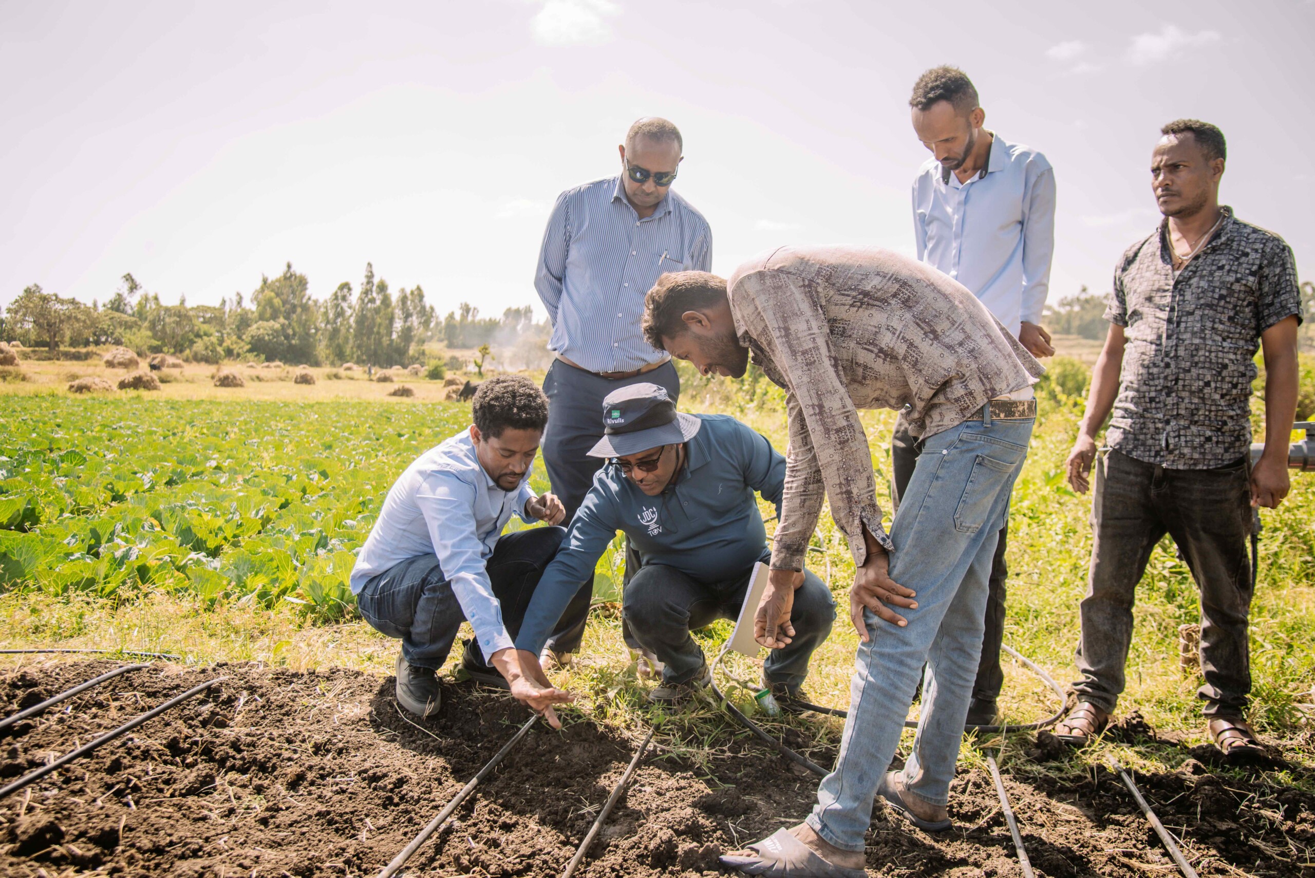 Empowering Ethiopian farmers – a successful collaboration between Hazera, JDC and Greenlife - Greece